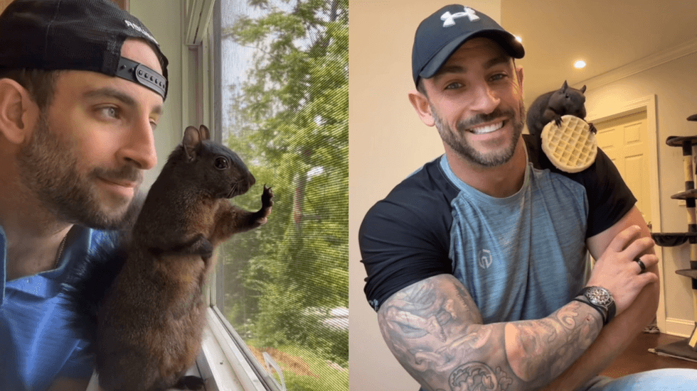 The late Peanut the Squirrel is now a conservative martyr