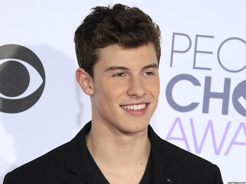 That Fake Tweet About Shawn Mendes Coming Out as Gay Is Homophobia at ...