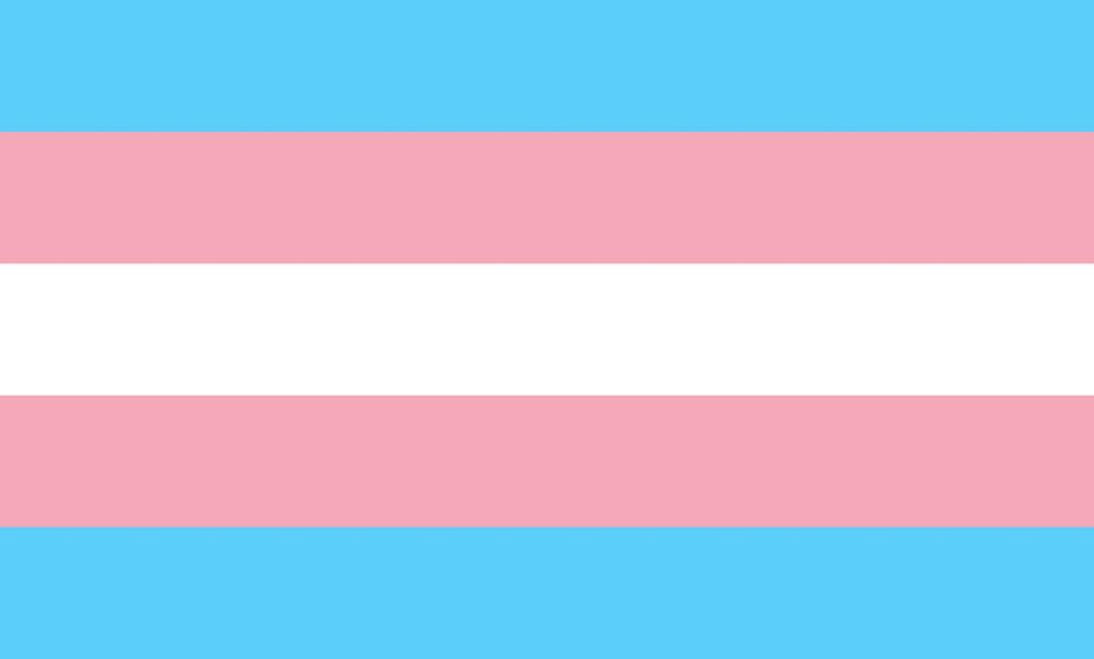 Minneapolis Signs Safe Haven Bill Protecting Trans Refugees