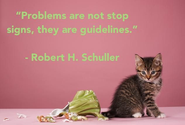 14 Deeply Inspirational Cat Posters to Hang In Your Dorm Room