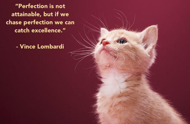 14 Deeply Inspirational Cat Posters to Hang In Your Dorm Room