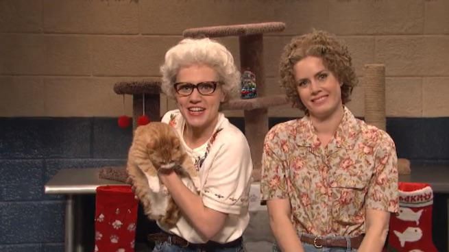 10 Times SNL's Cat Rescue Commercials with Kate McKinnon Hit Too Close ...