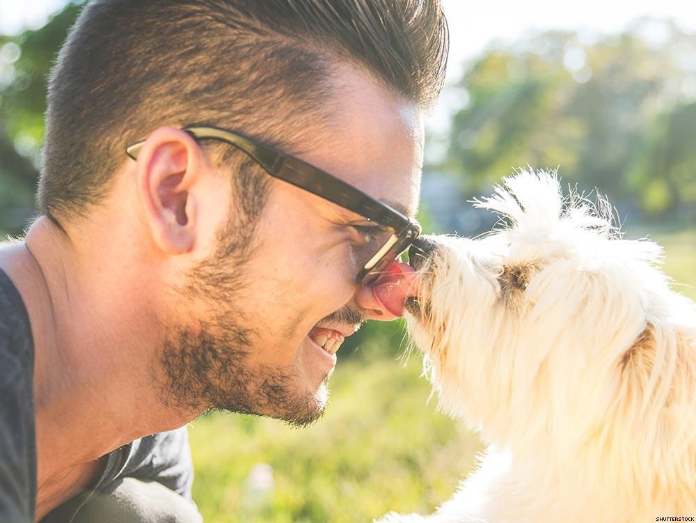 9 Reasons Your Next Boyfriend Must Love Dogs