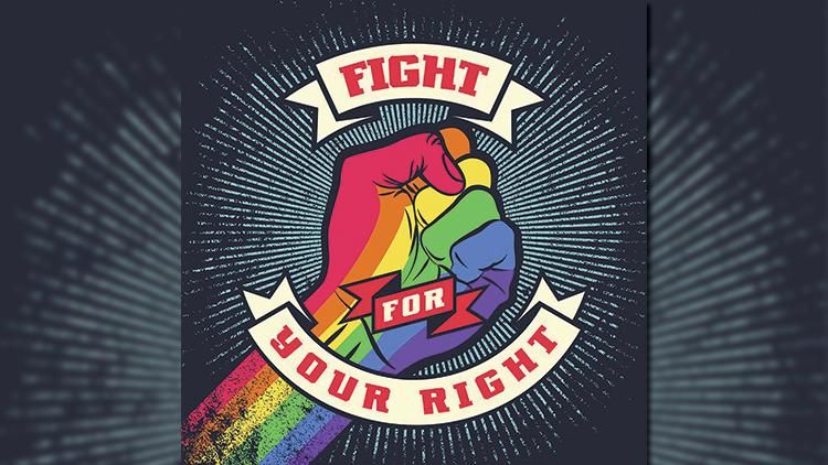 10 Political Victories the LGBT Community Had in 2017